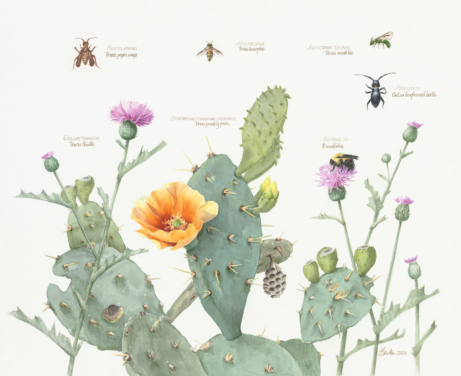 On the Way Home 16 X 20 Artist Print - Etsy