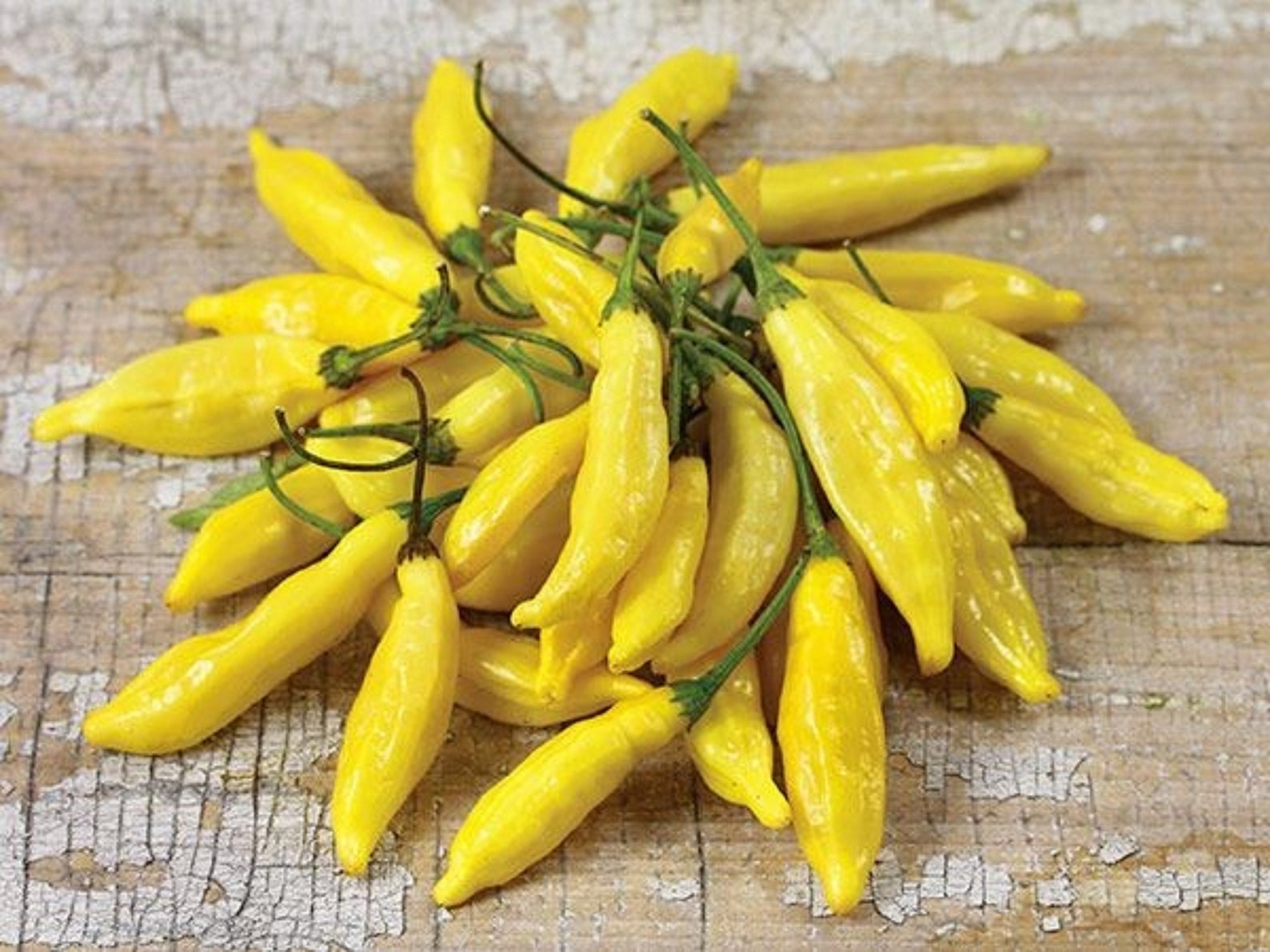Lemon Drop Pepper 12 Seeds - Etsy