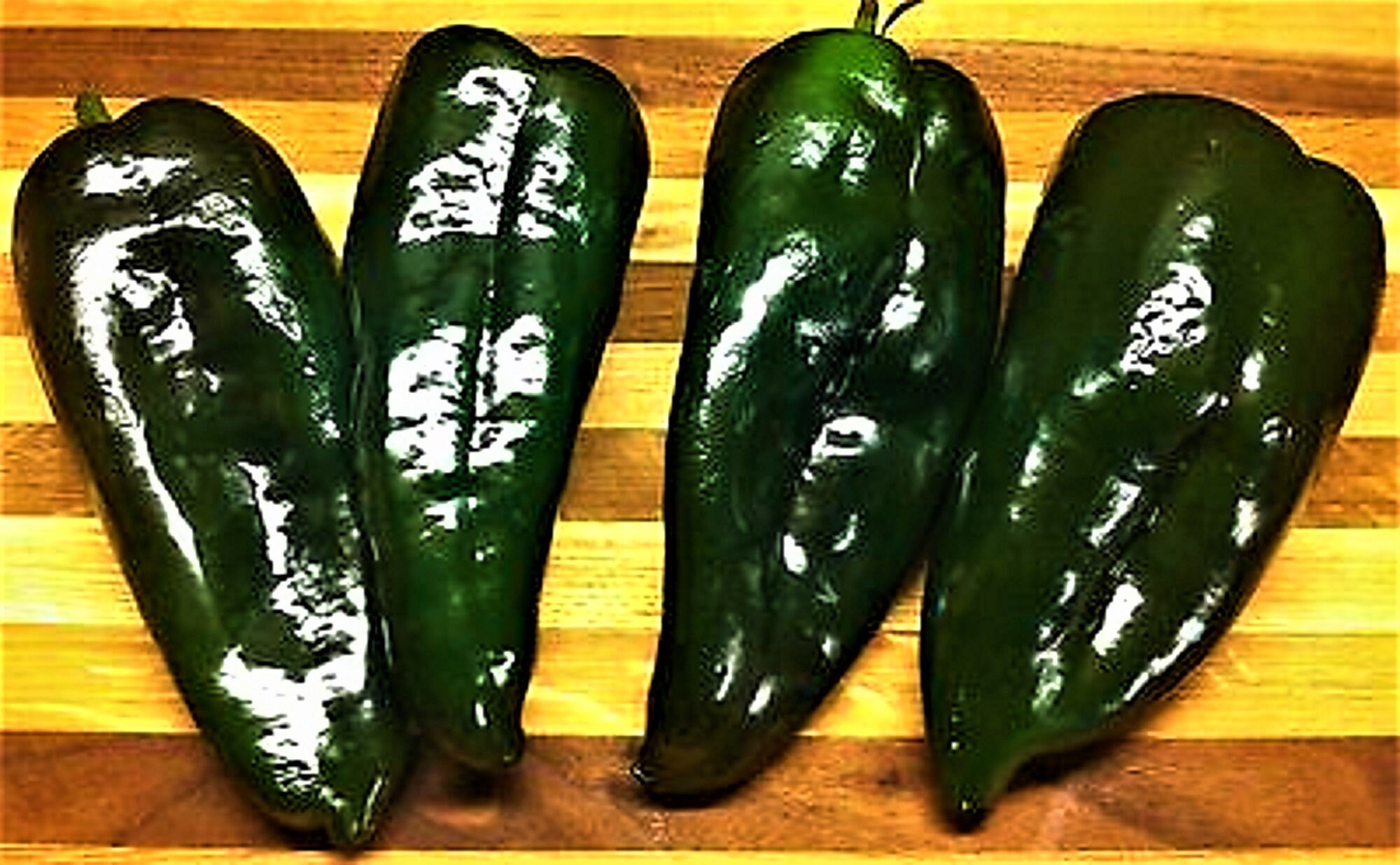 Ancho / Poblano Pepper 15 Seeds Heirloom Non-GMO | Etsy