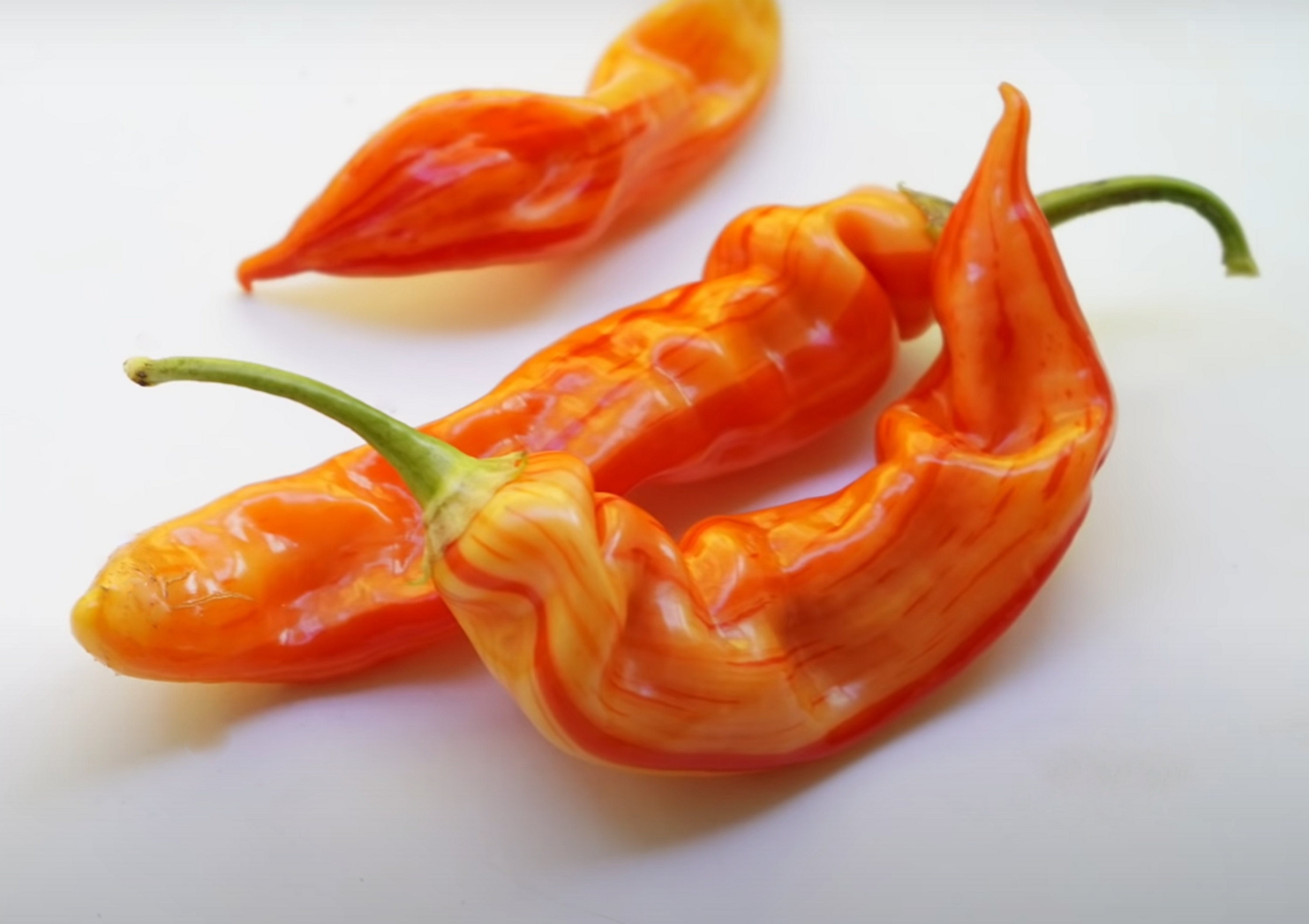 Sugar Rush Stripey Pepper 12 Seeds 2021 Free Ship Domestic - Etsy