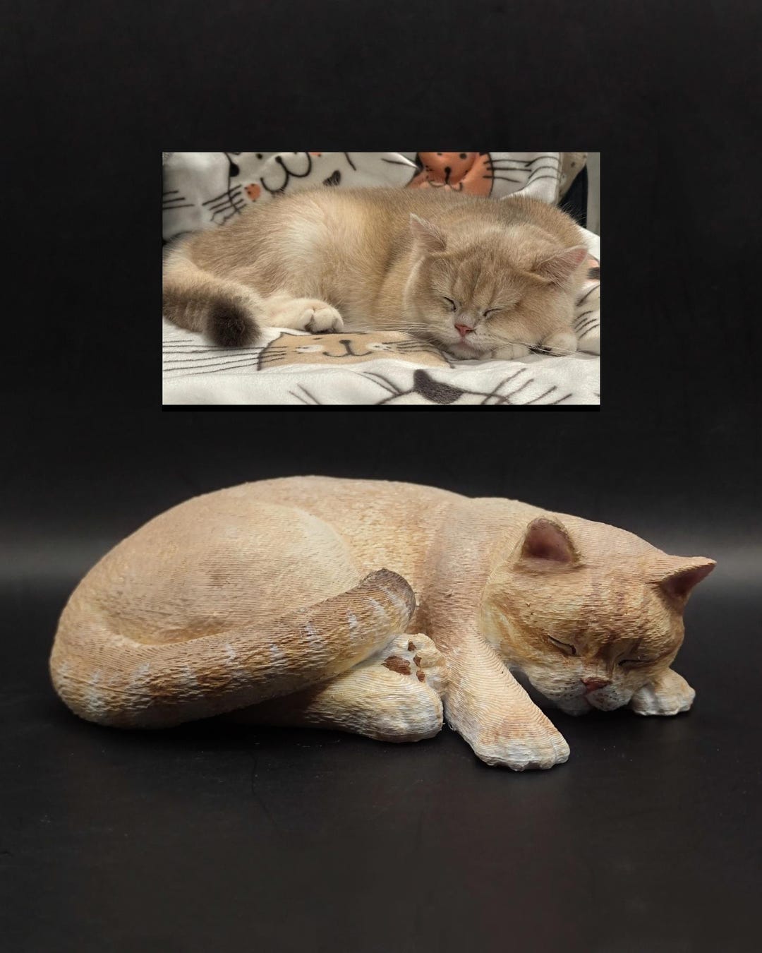 Custom Cat Topper Personalized Painting Service Handmade Painting Cat ...