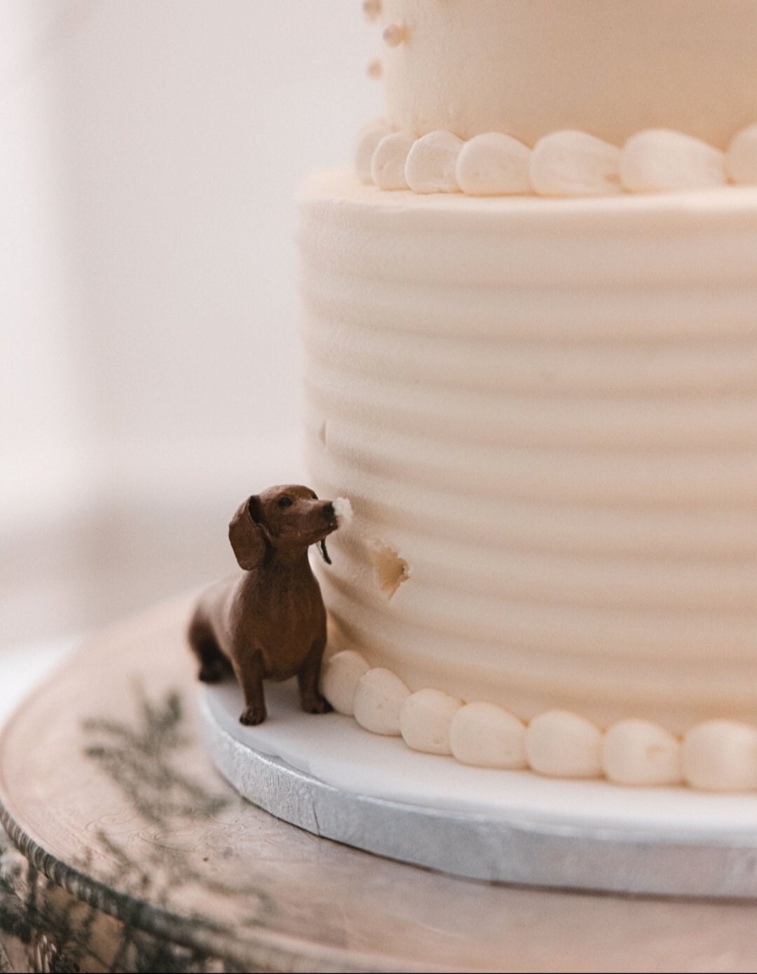 Personalized Dog Wedding Cake Topper: Custom Design and Painting ...