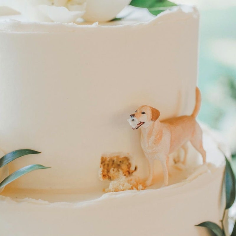 Labrador Cake Topper - Etsy