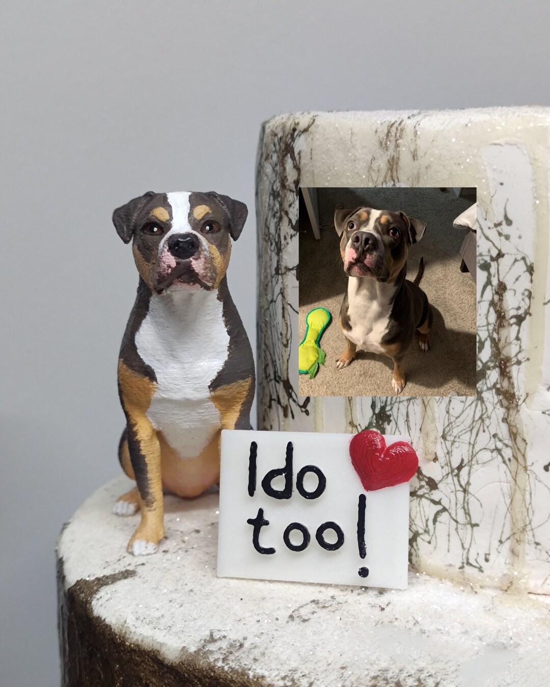 Pitbull Cake Topper - Personalized Wedding Cake Topper - Personalized ...