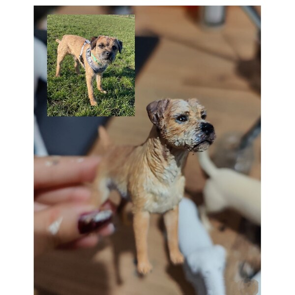 Border Terrier - Etsy