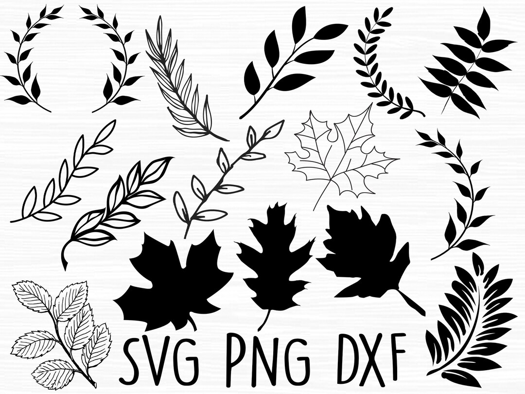 Leaf Svg Bundle Leaves Svg Leaf Svg Flower Svg Floral Svg - Etsy Ireland