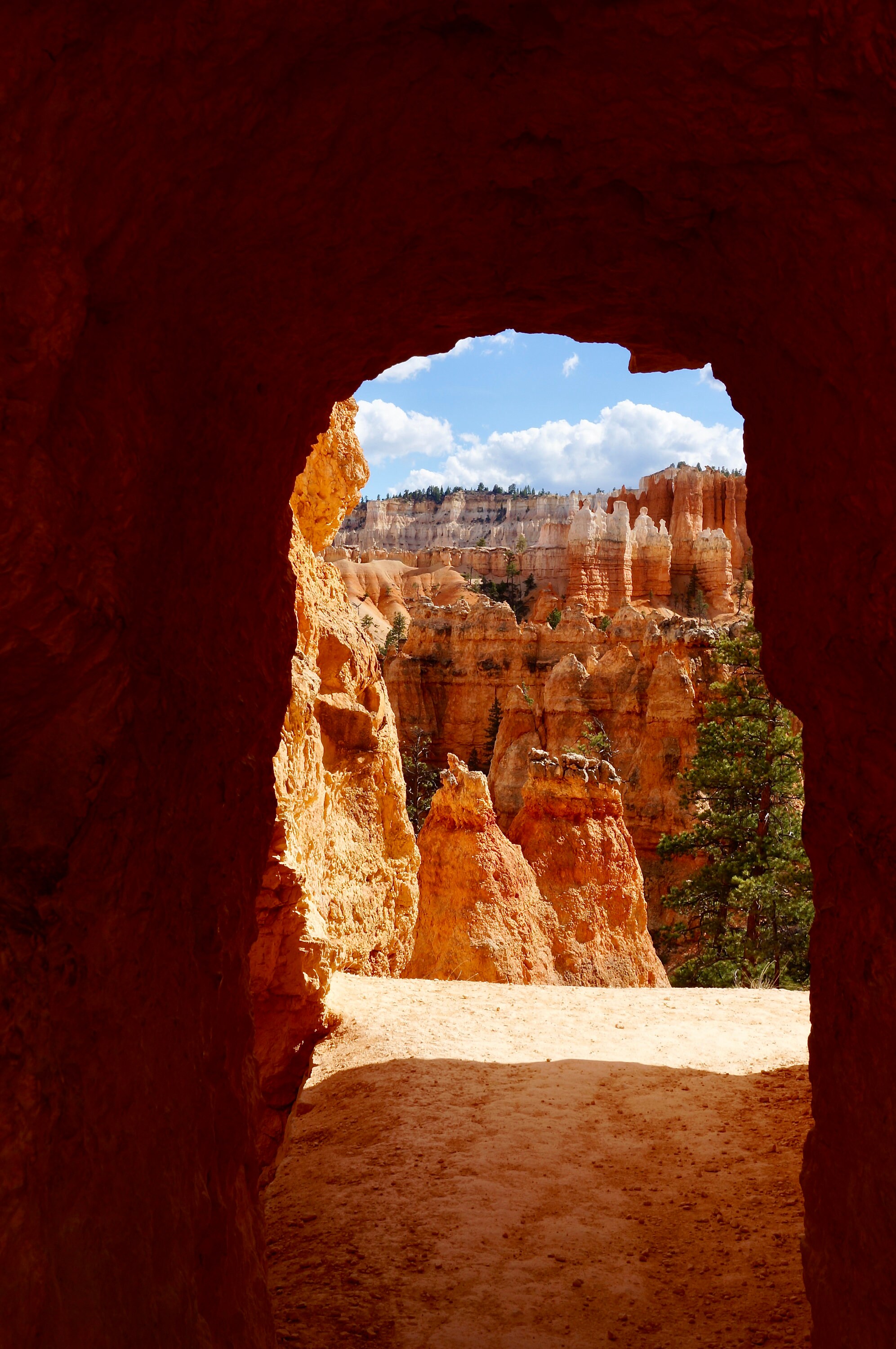 Bryce Canyon National Park, Landscape Photography, Digital Print, Wall ...