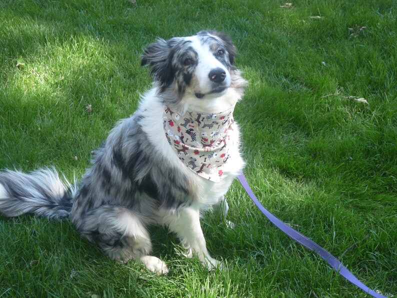 Reversible Dog Bandana: Tan Puppy Print, Dotted Flannel, Snap & Tie - Etsy