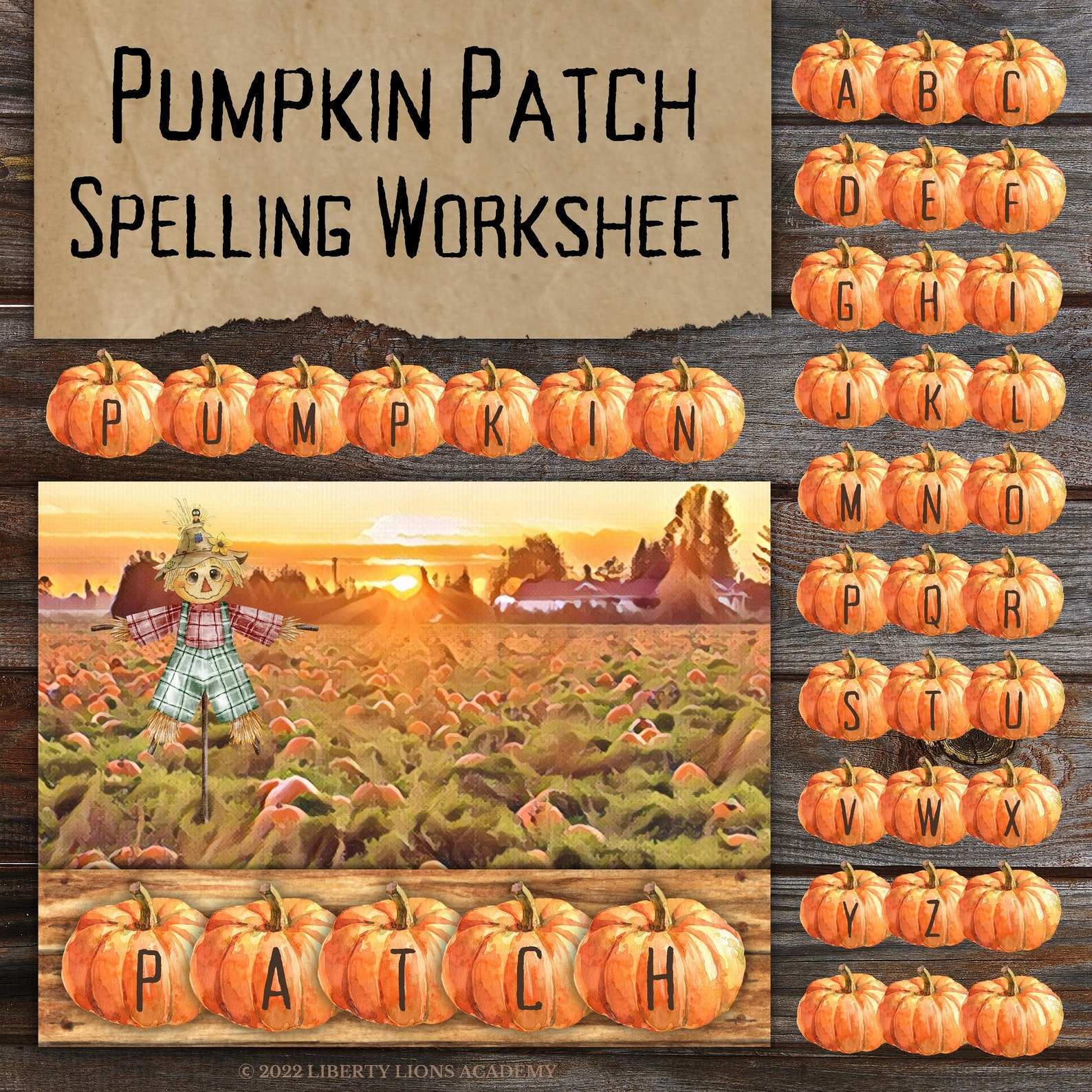 Decomposing Pumpkin Nature Study: Homeschool Science Unit (digital ...