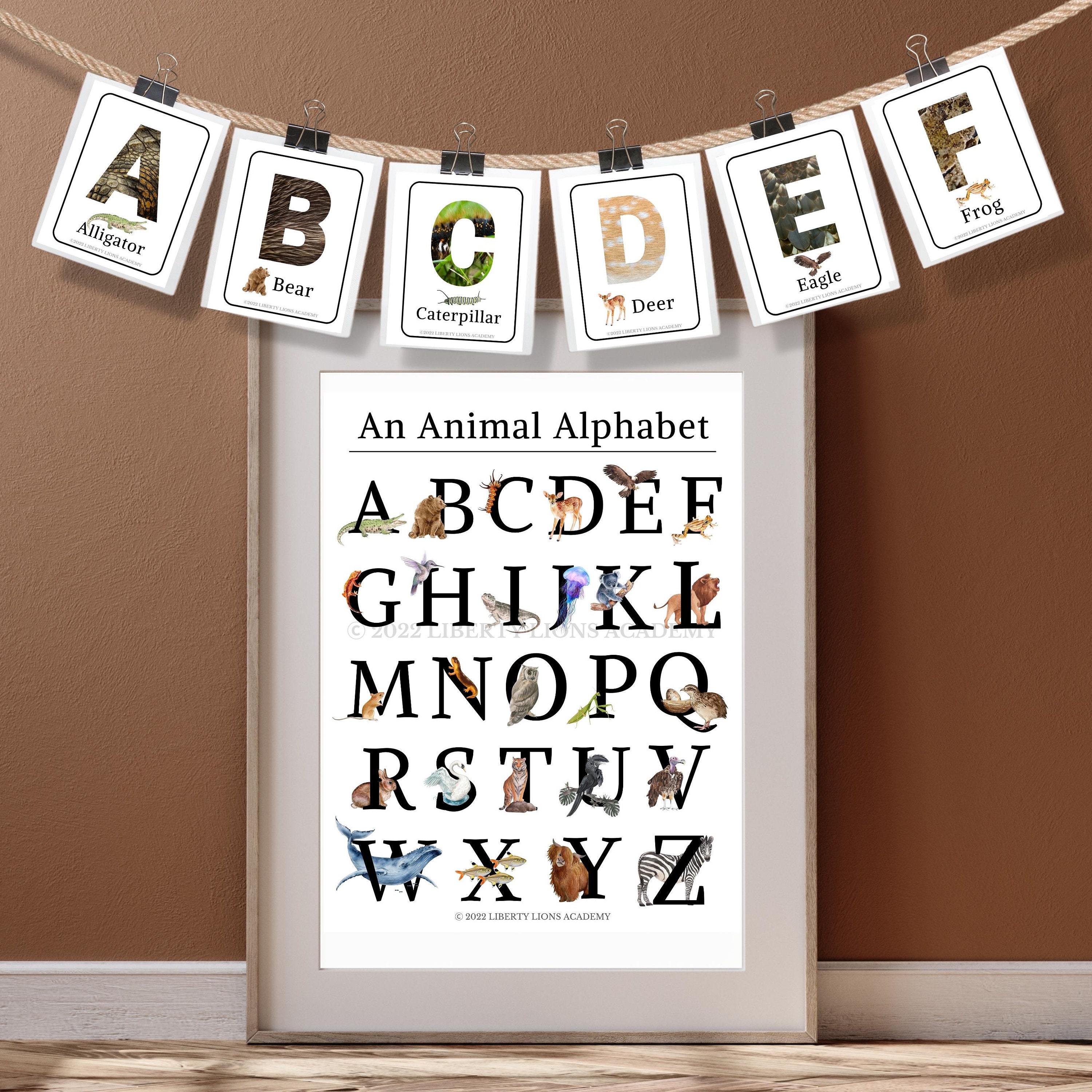 Animal ABC Alphabet, Early Learners, Writing Practice, Flashcards ...