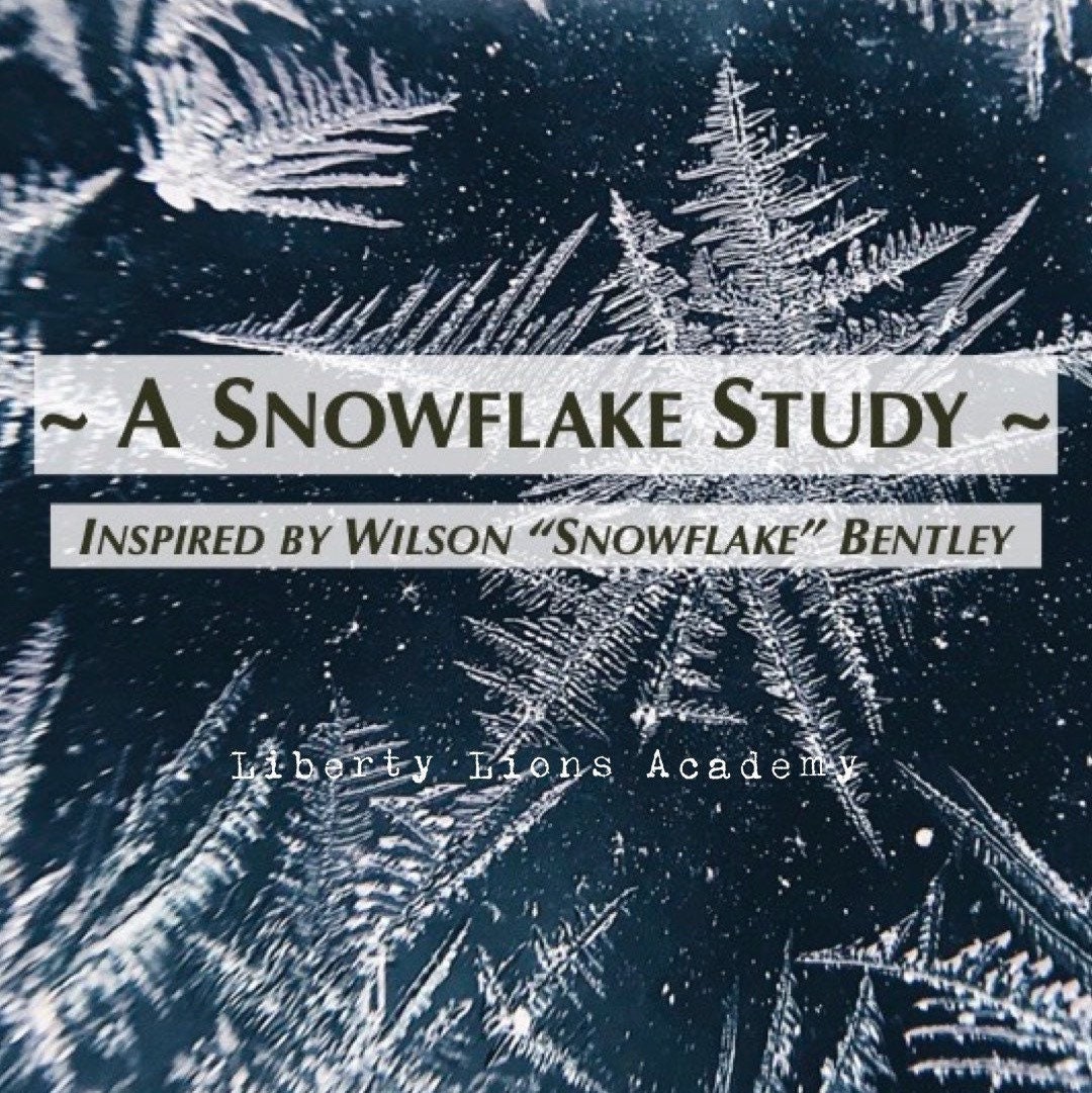 A Snowflake Study Inspired by Wilson snowflake Bentley - Etsy