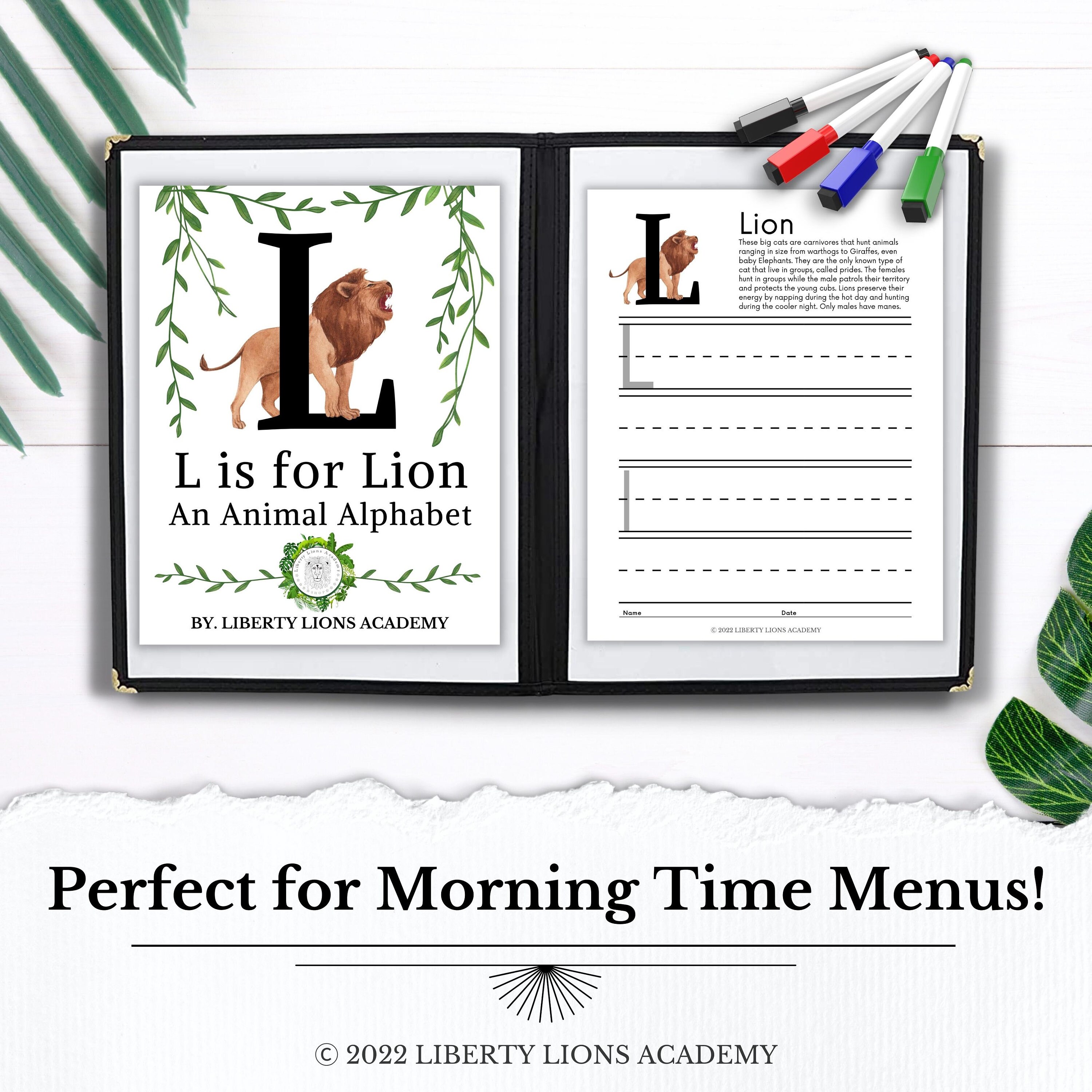 Animal ABC Alphabet, Early Learners, Writing Practice, Flashcards ...