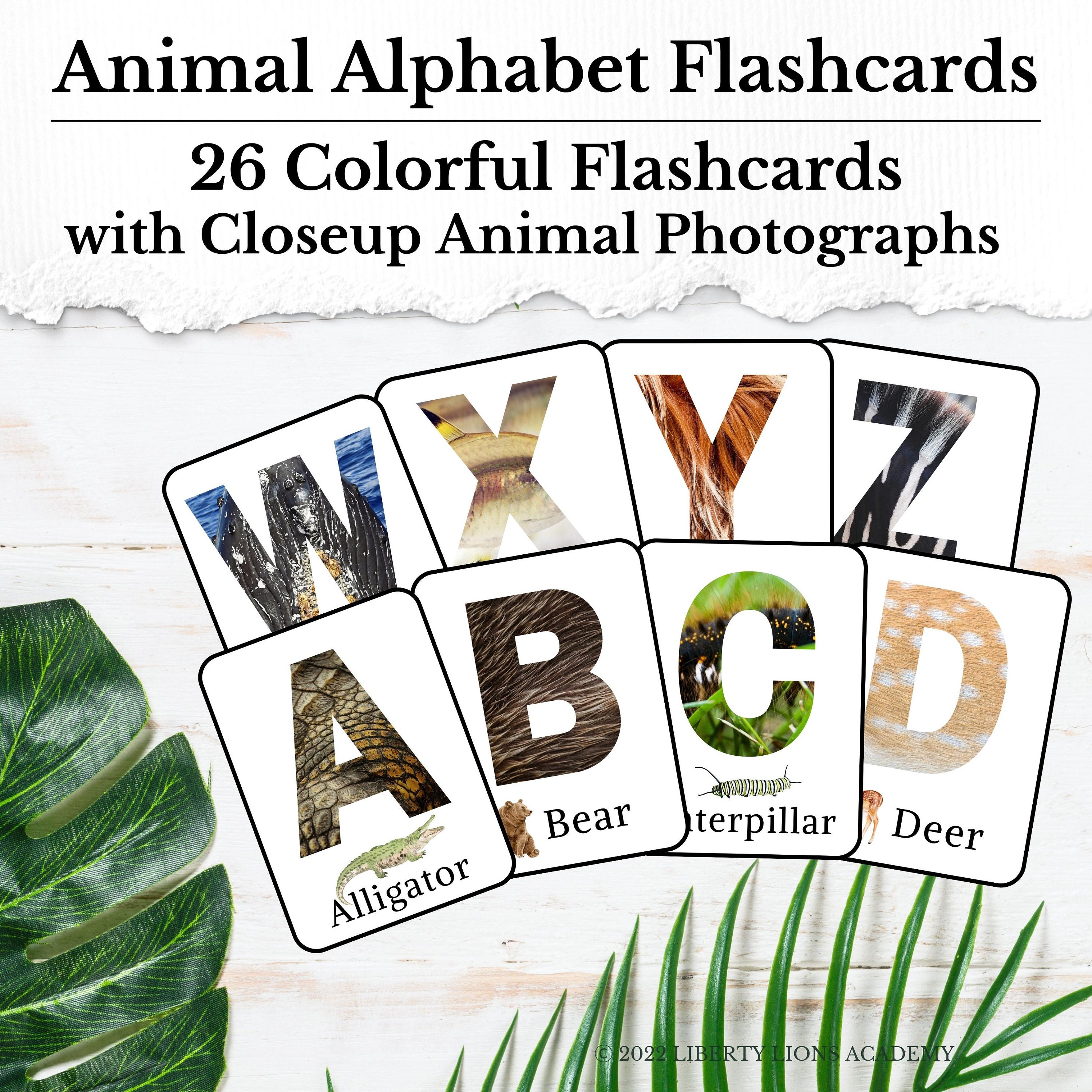 Animal ABC Alphabet, Early Learners, Writing Practice, Flashcards ...