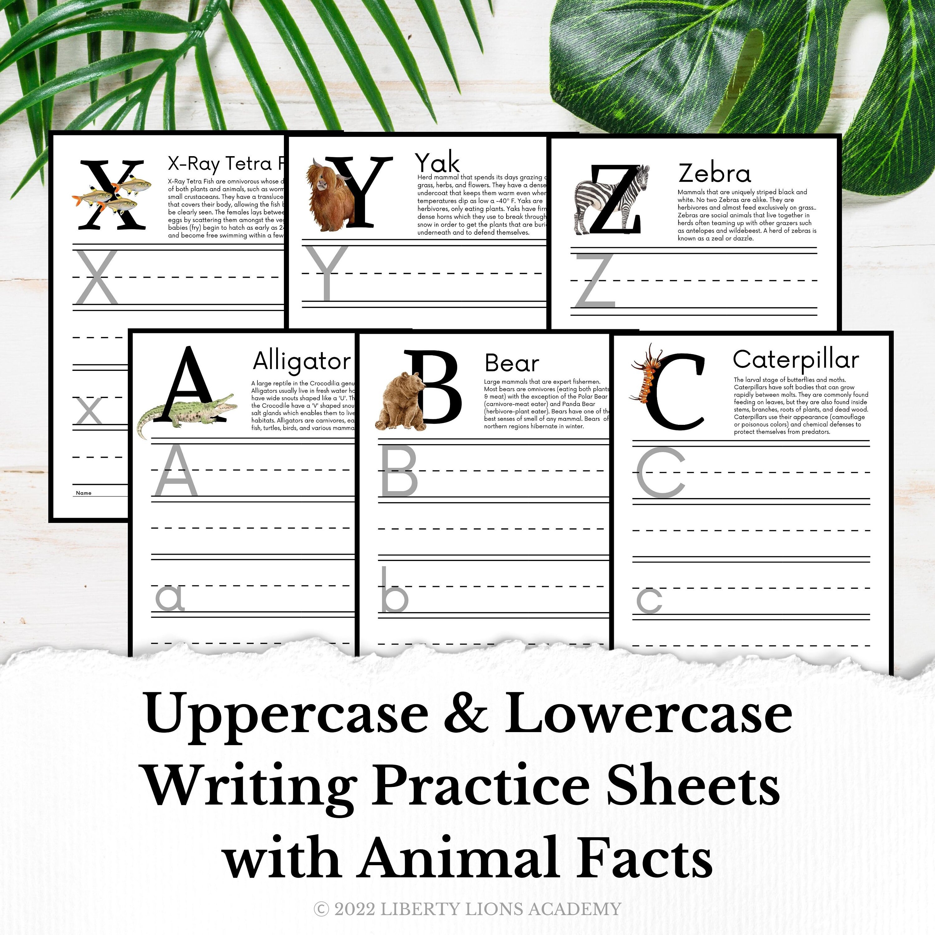 Animal ABC Alphabet, Early Learners, Writing Practice, Flashcards ...