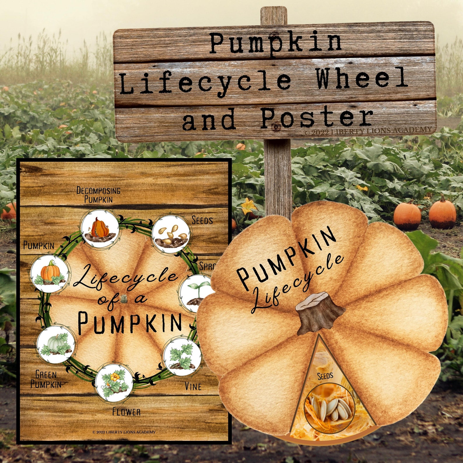 Decomposing Pumpkin Nature Study: Homeschool Science Unit (digital ...