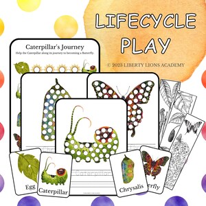 Counting Caterpillar | Early Learning | Butterfly Lifecycle | Preschool ...