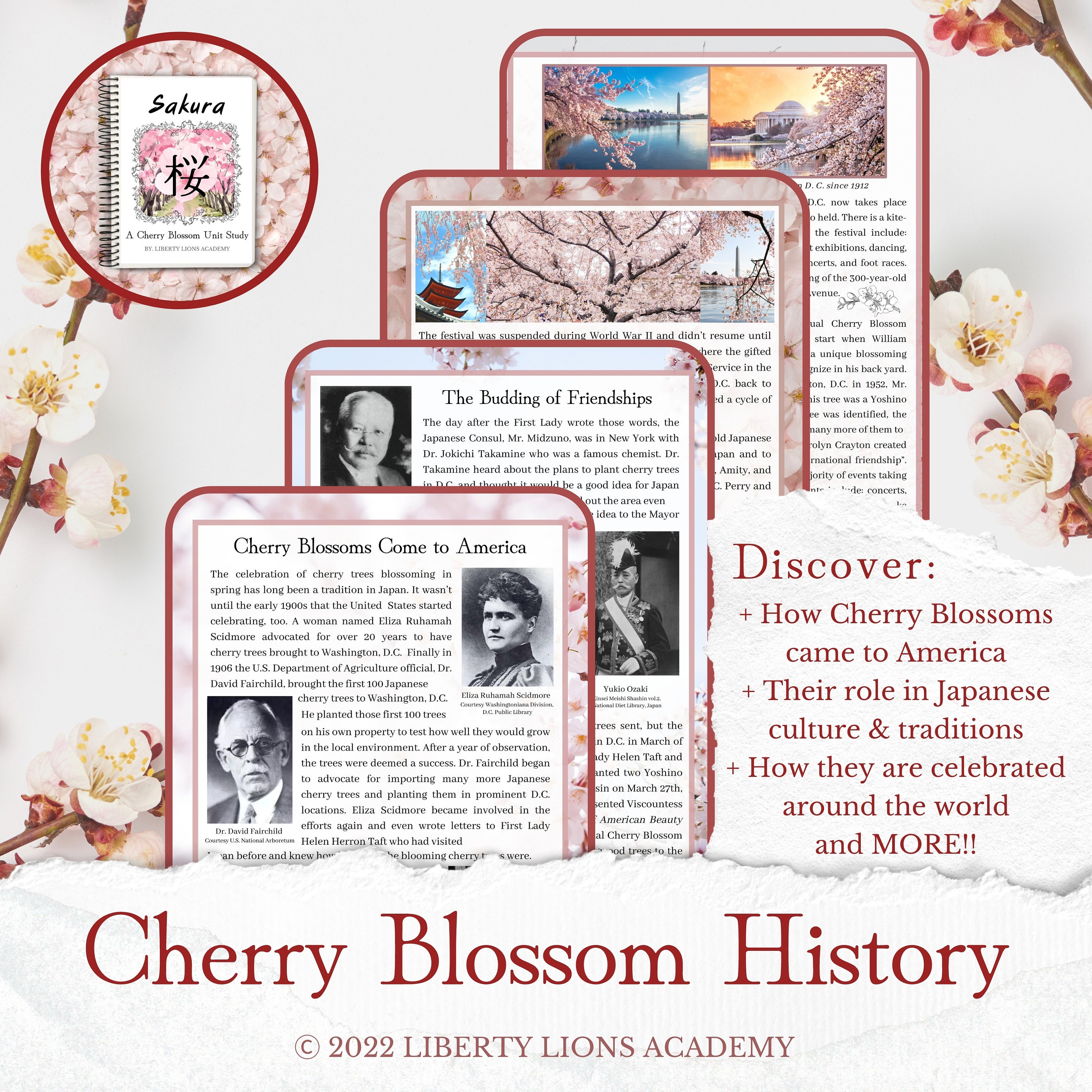 Cherry Blossom Unit Study, Homeschool Spring Study, History, Anatomy ...