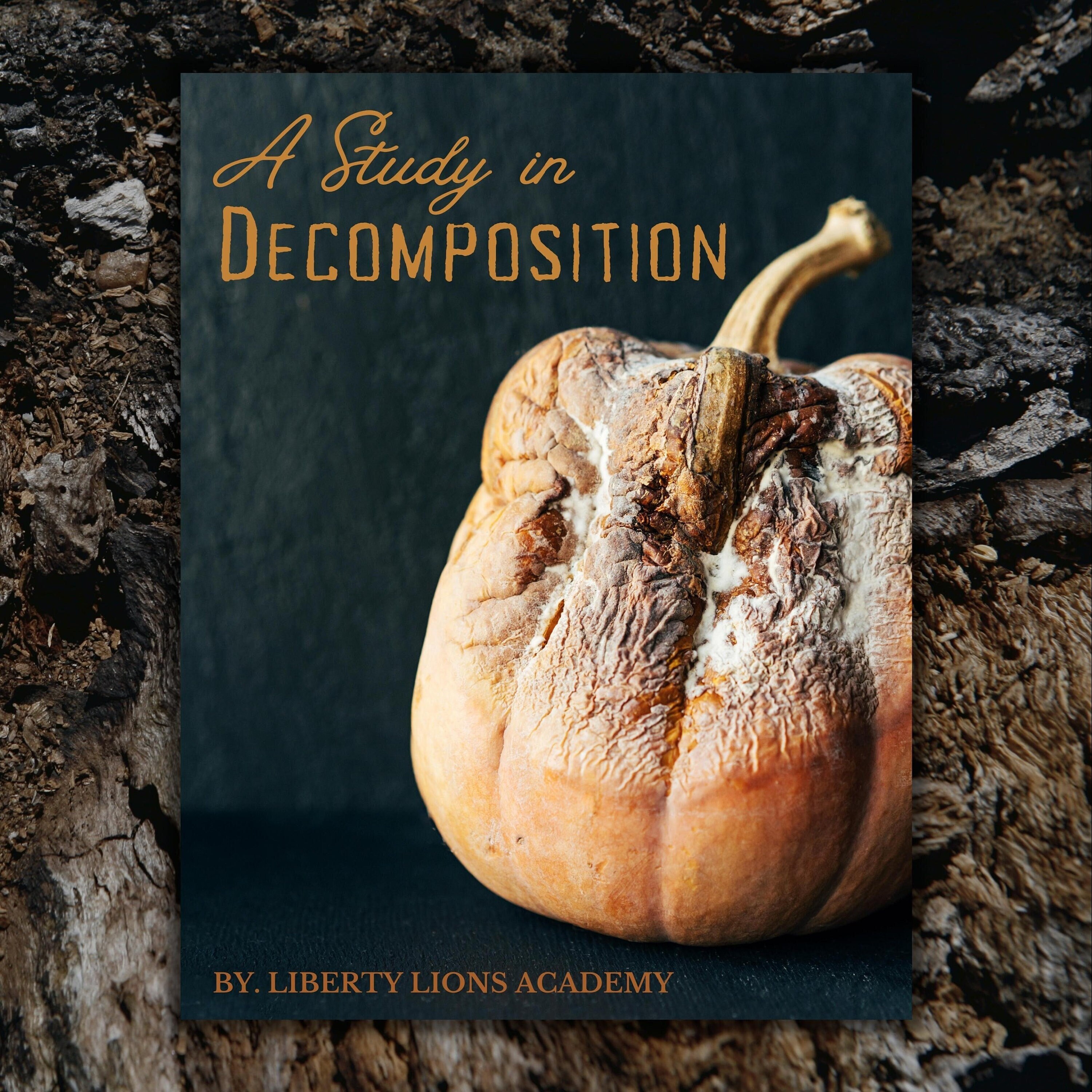 Decomposing Pumpkin Nature Study: Homeschool Science Unit (digital ...