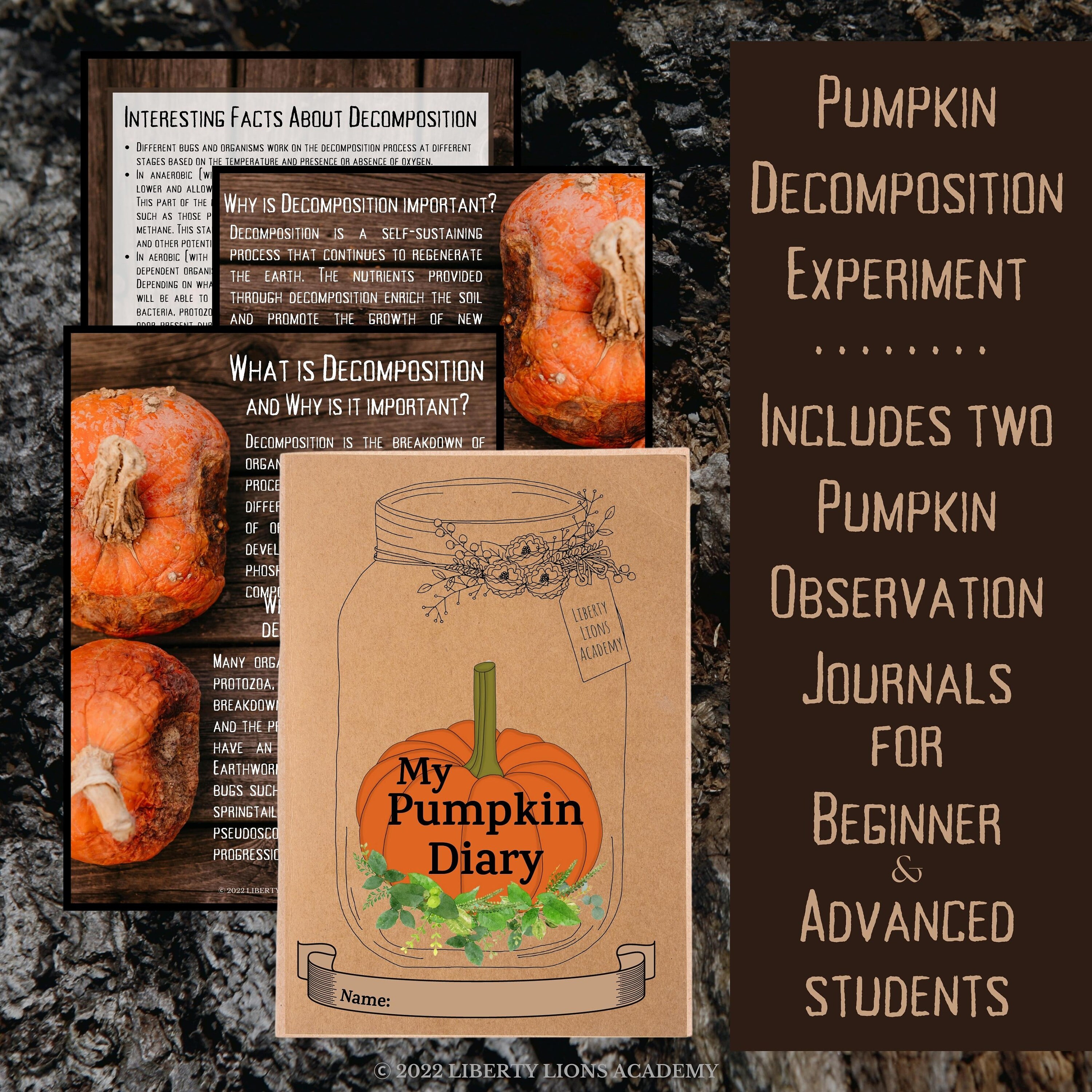 Decomposing Pumpkin Nature Study: Homeschool Science Unit (digital ...