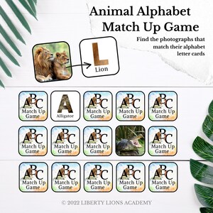 Animal ABC Alphabet, Early Learners, Writing Practice, Flashcards ...