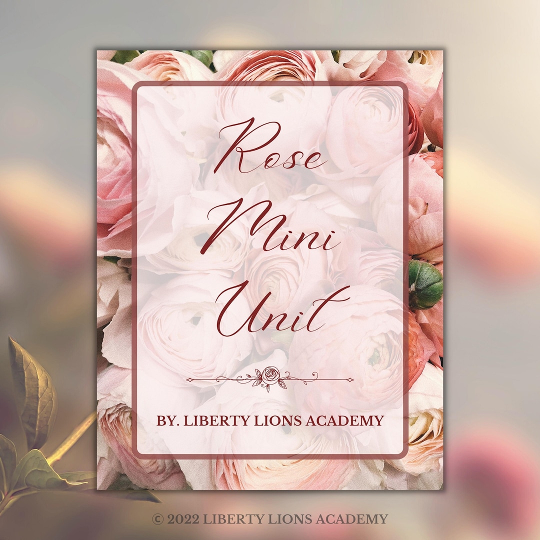 Rose Art Study | Rose Anatomy | Poetry | Nature Study | Rose Lifecycle ...