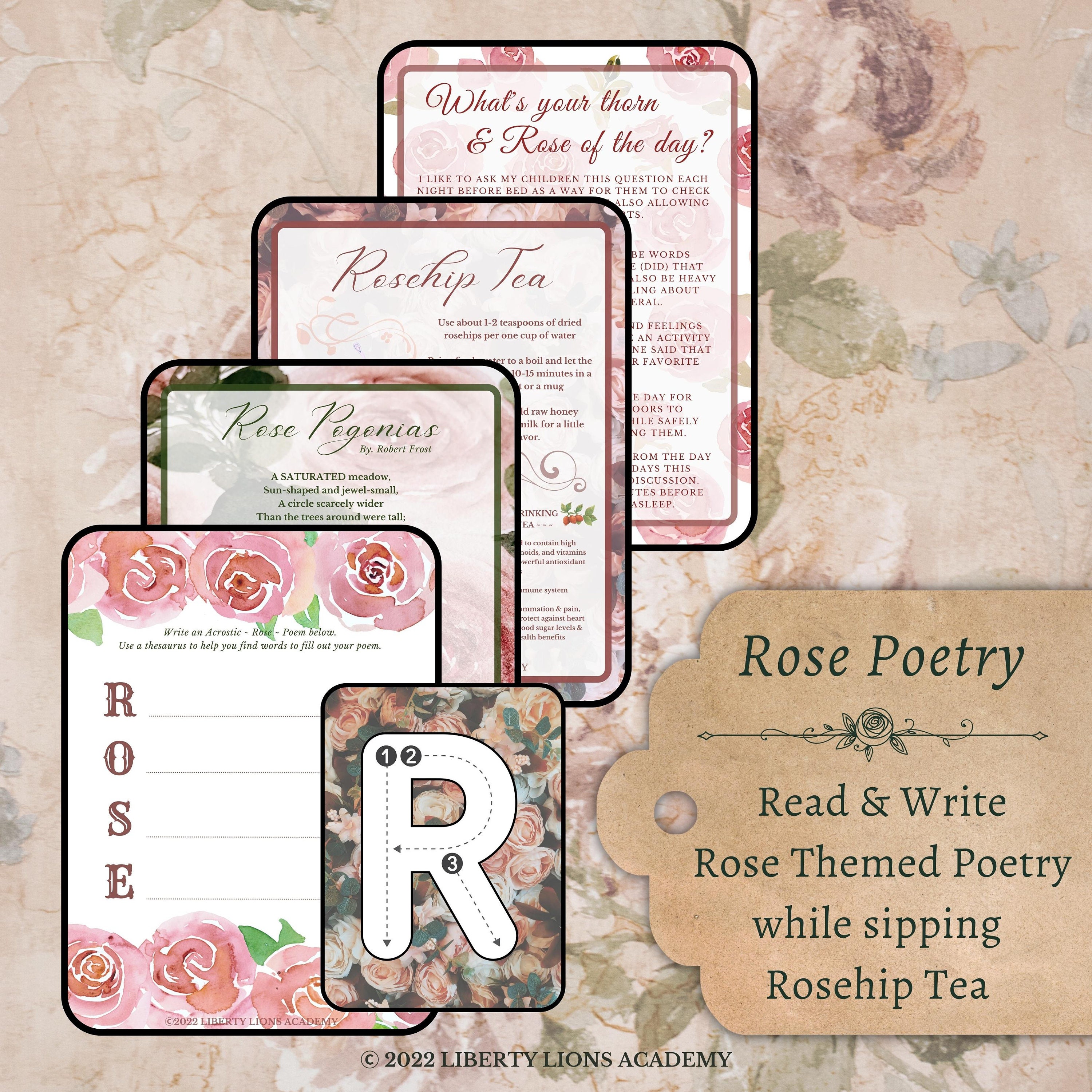 Rose Art Study | Rose Anatomy | Poetry | Nature Study | Rose Lifecycle ...