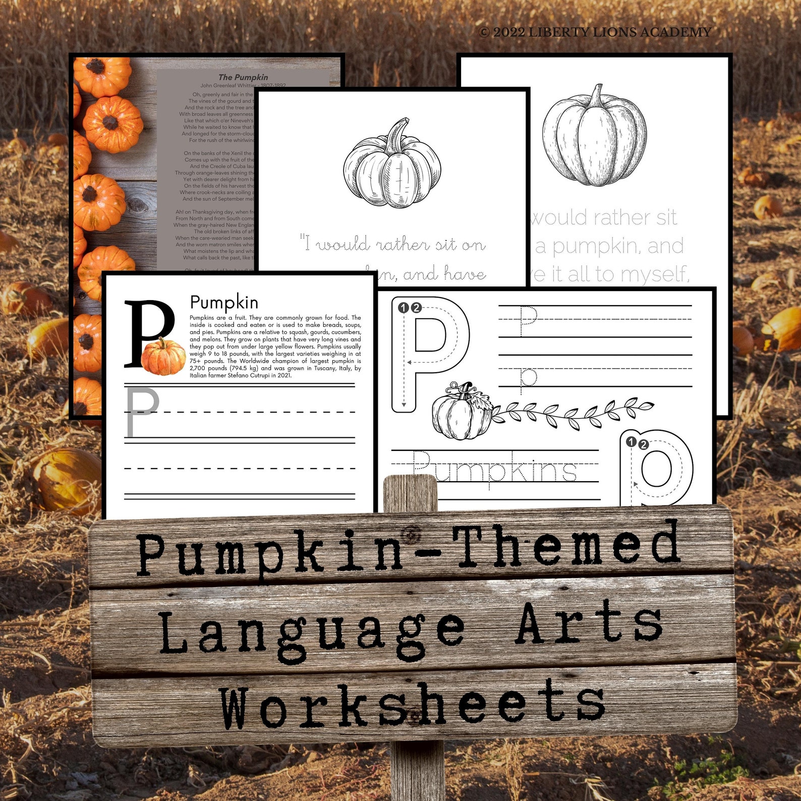 Decomposing Pumpkin Nature Study: Homeschool Science Unit (digital ...