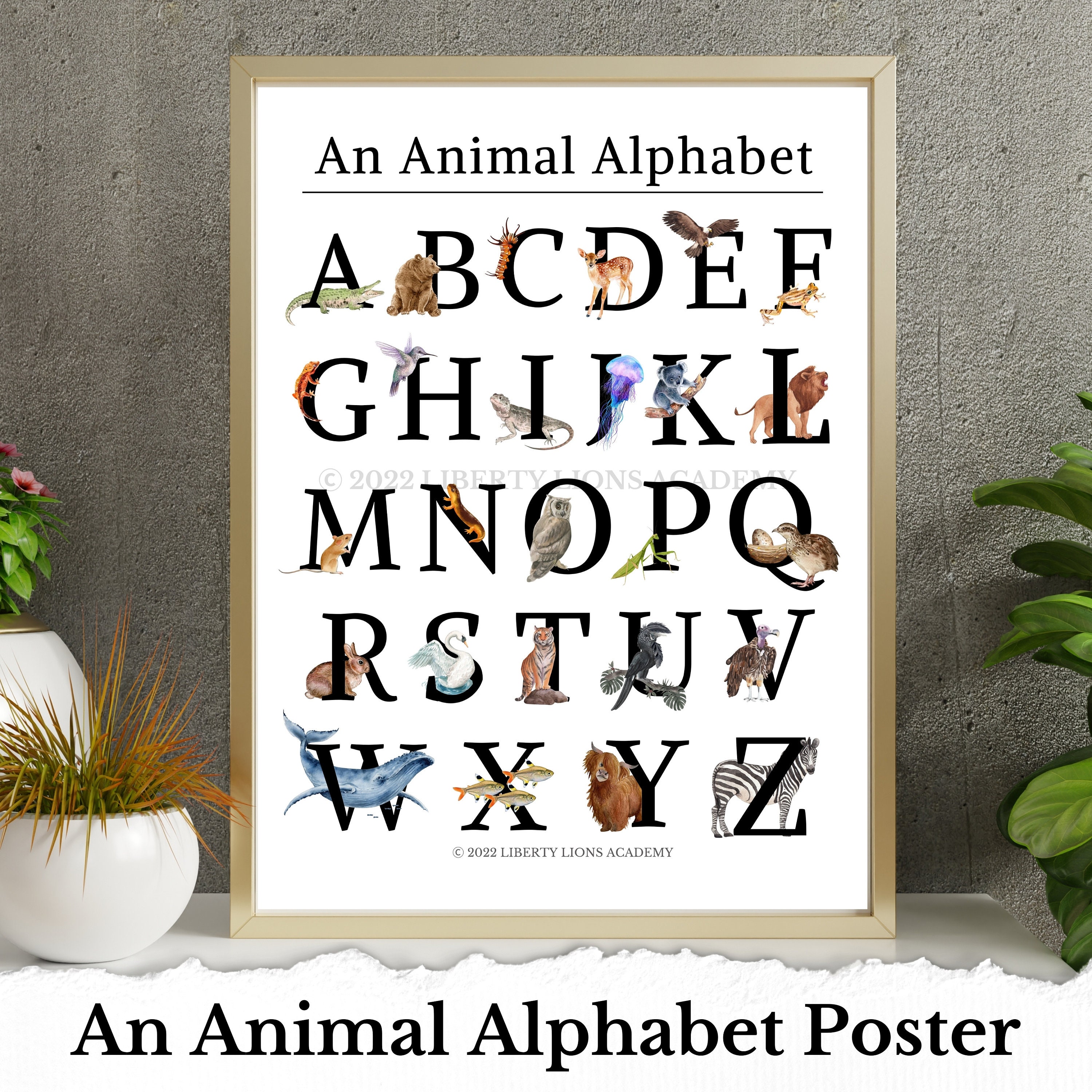 Animal ABC Alphabet, Early Learners, Writing Practice, Flashcards ...