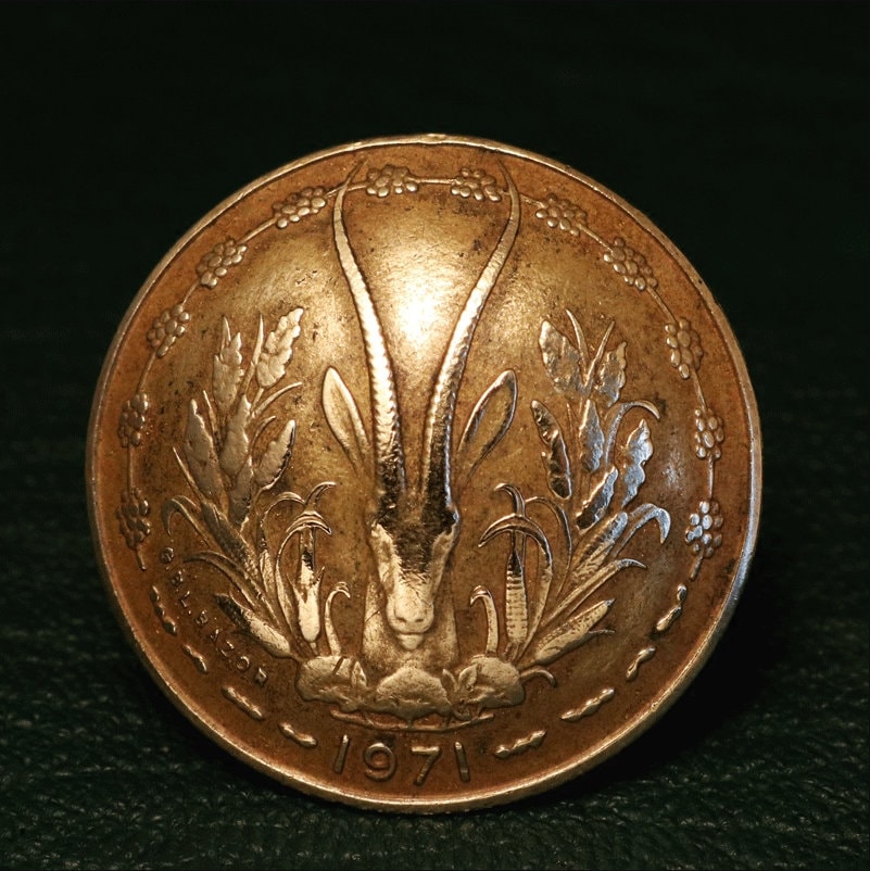 Antelope Conchos Screw Back Vintage Coin Conchos Decorative - Etsy