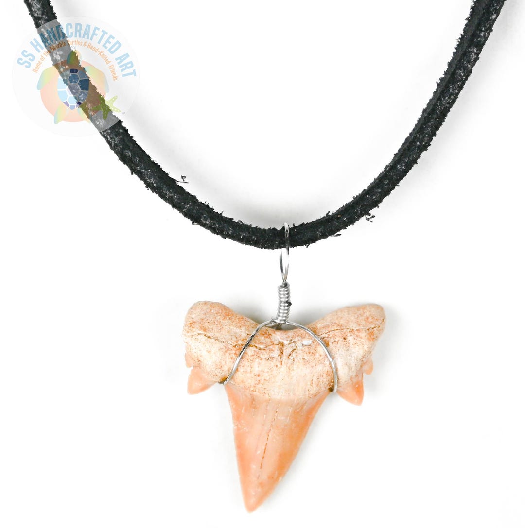 Fossilized Shark Tooth Necklace - Black Suede - Etsy