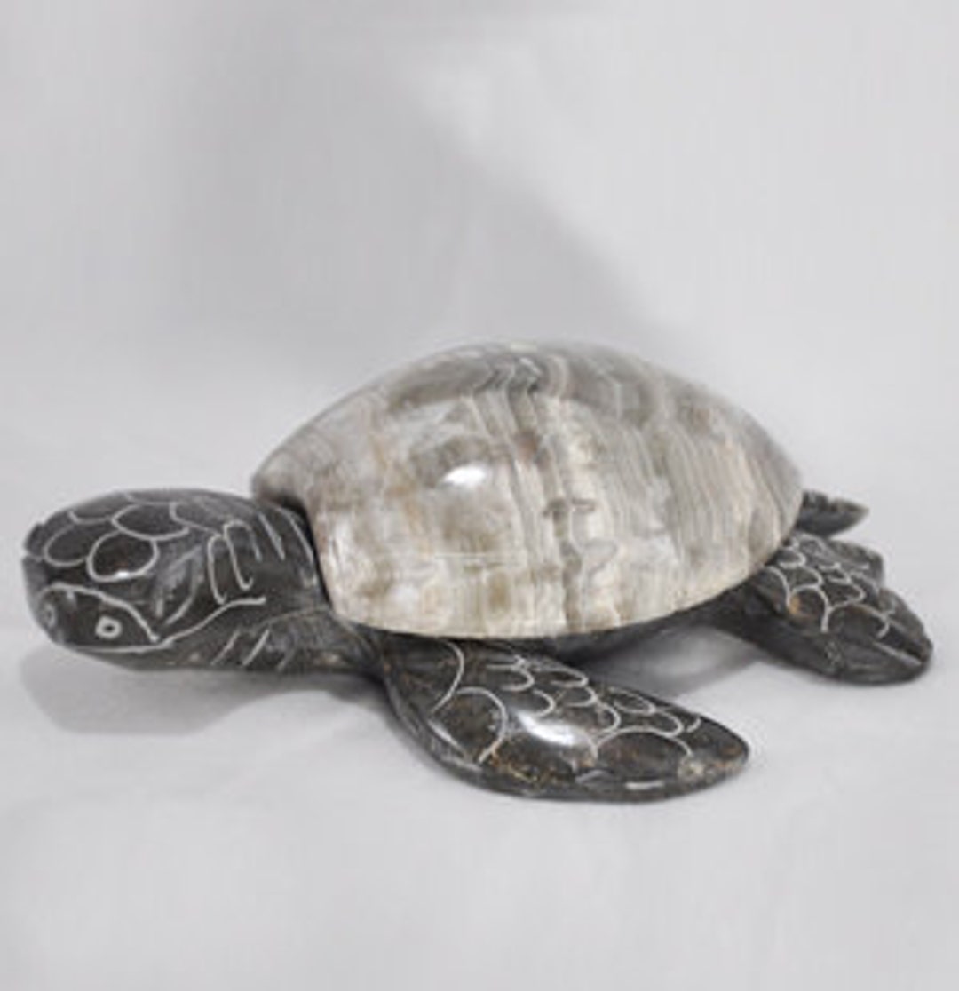 Mateo the Marble Turtle - Etsy