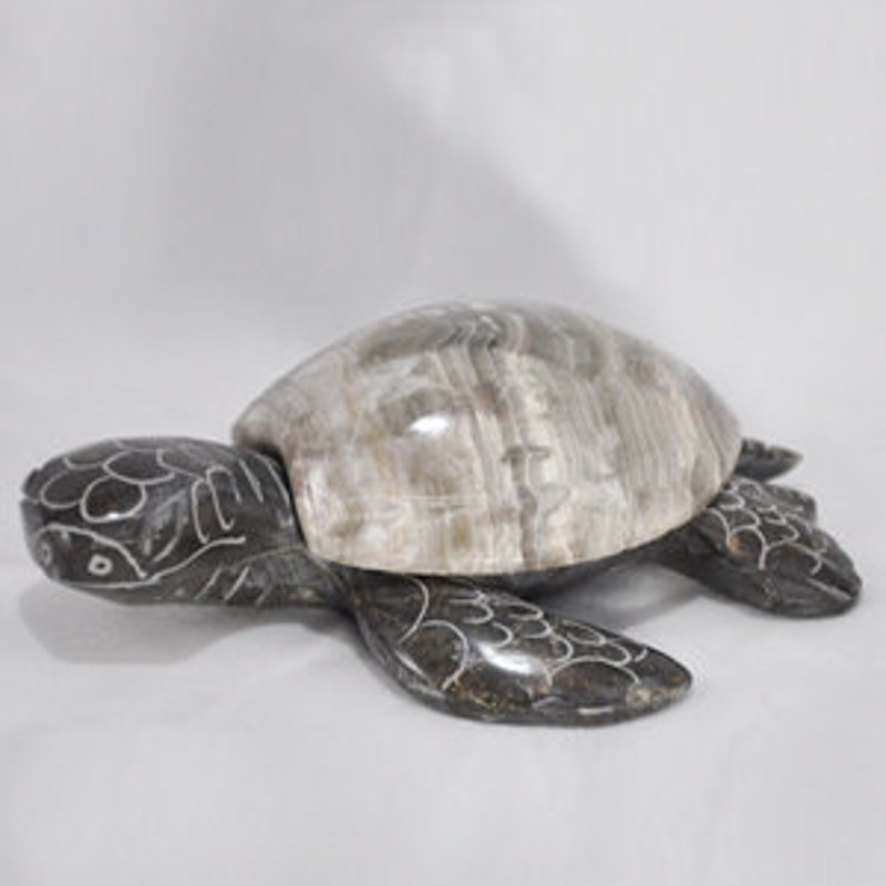 Seashell Turtle - Etsy