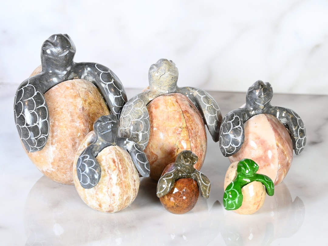 Griffin the Hatchling Marble Turtle - Etsy