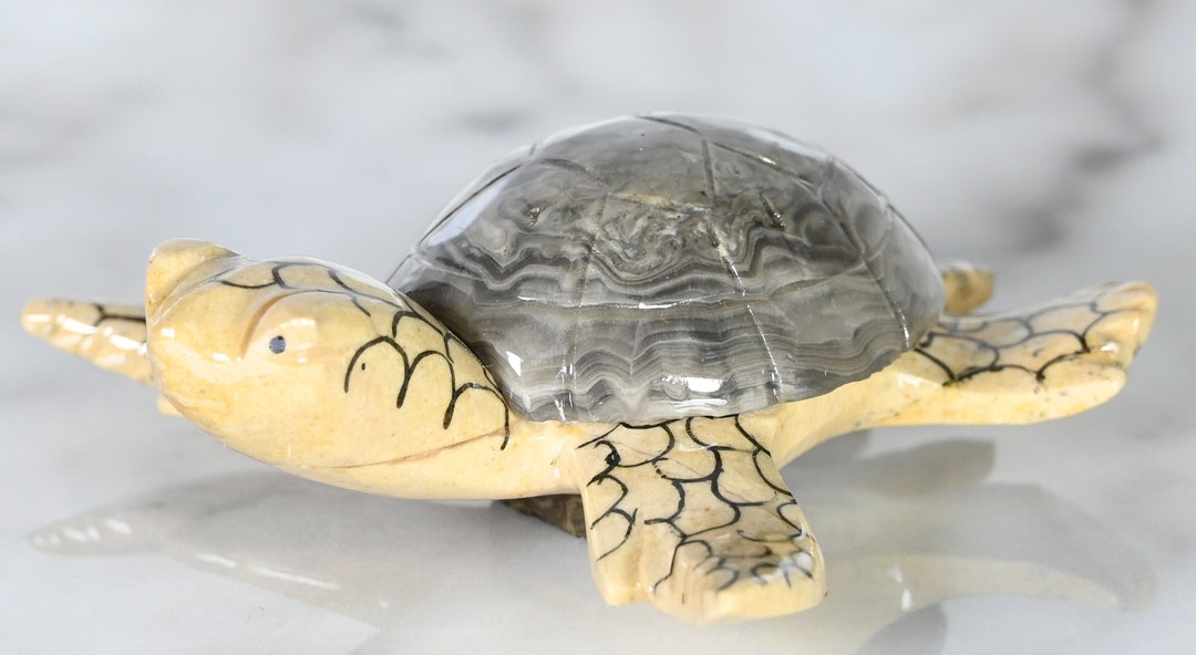 Finn the Marble Fins up Turtle - Etsy