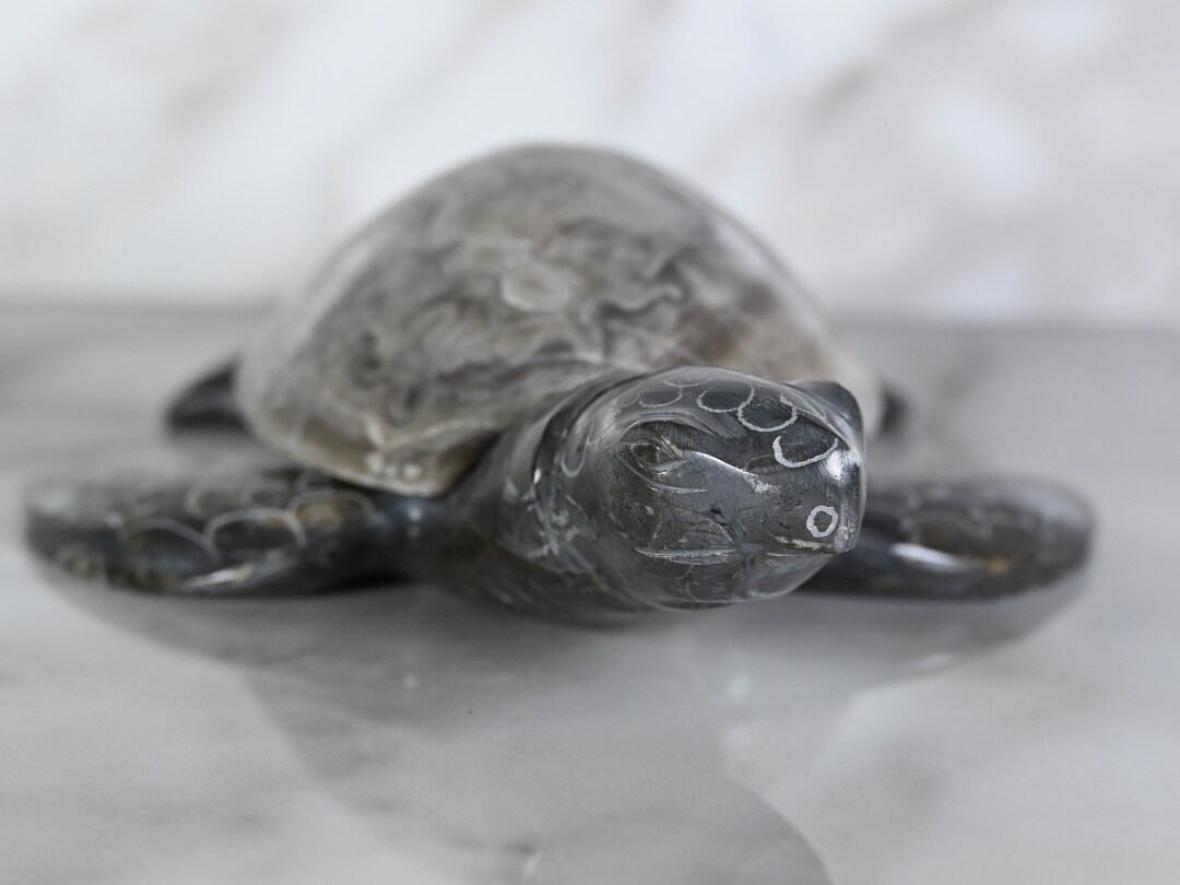 Saylor the Marble Turtle - Etsy