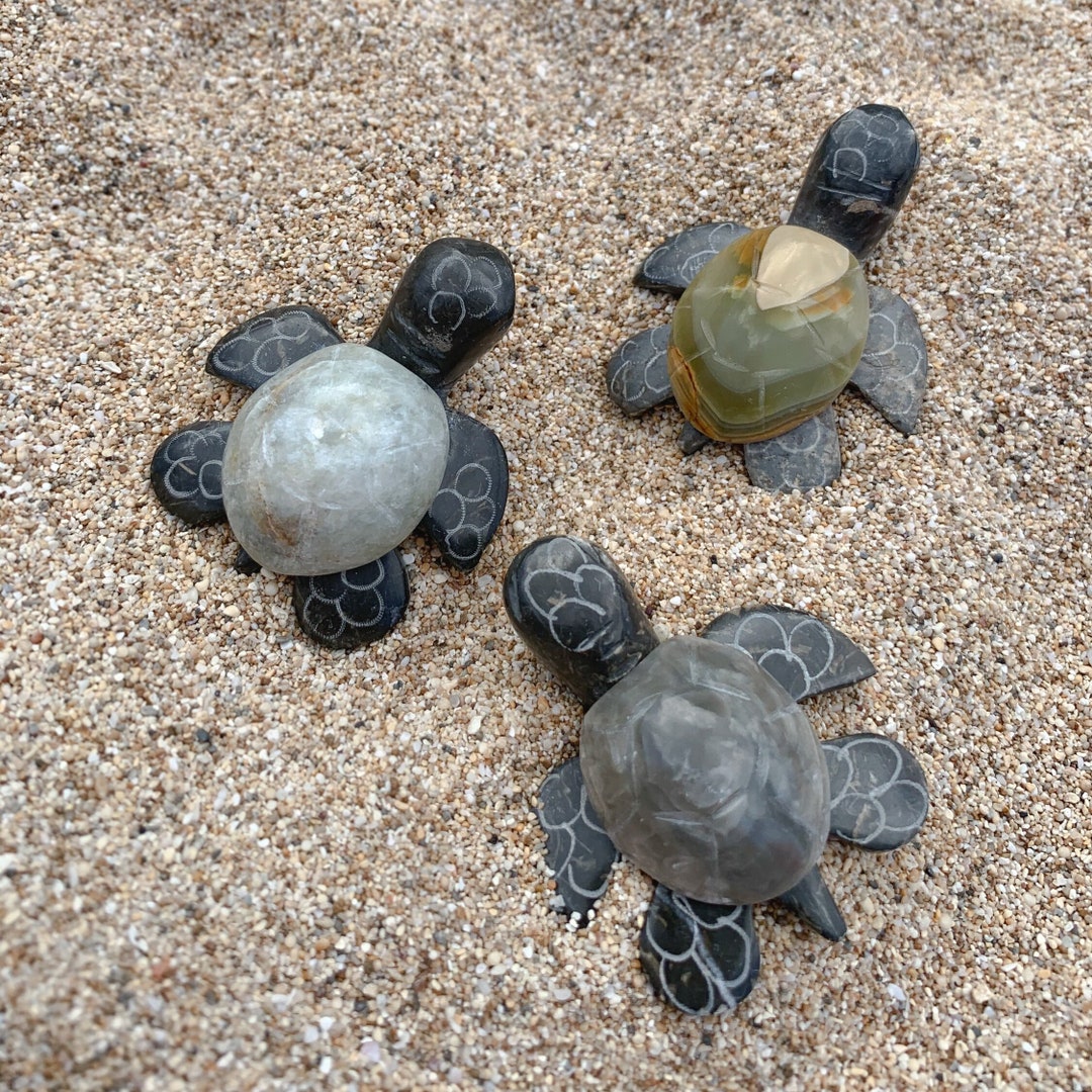 Carlos the Marble Turtle - Etsy