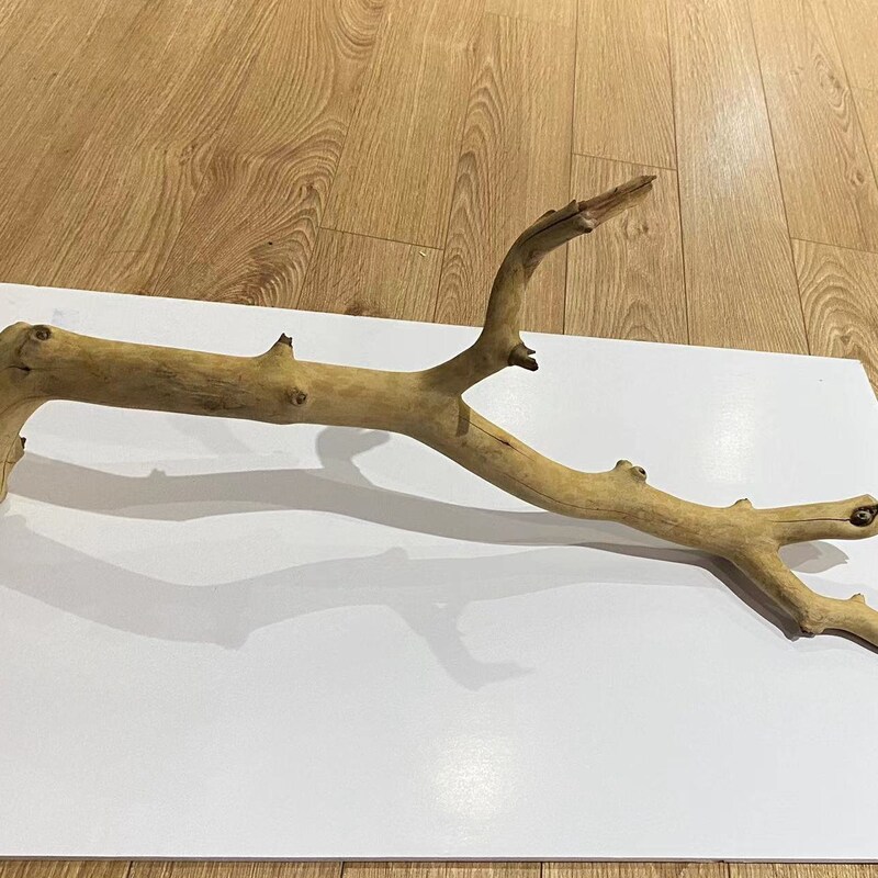 Manzanita Branch - Etsy