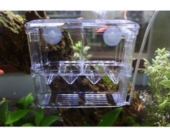 Large Fish Tank - Etsy