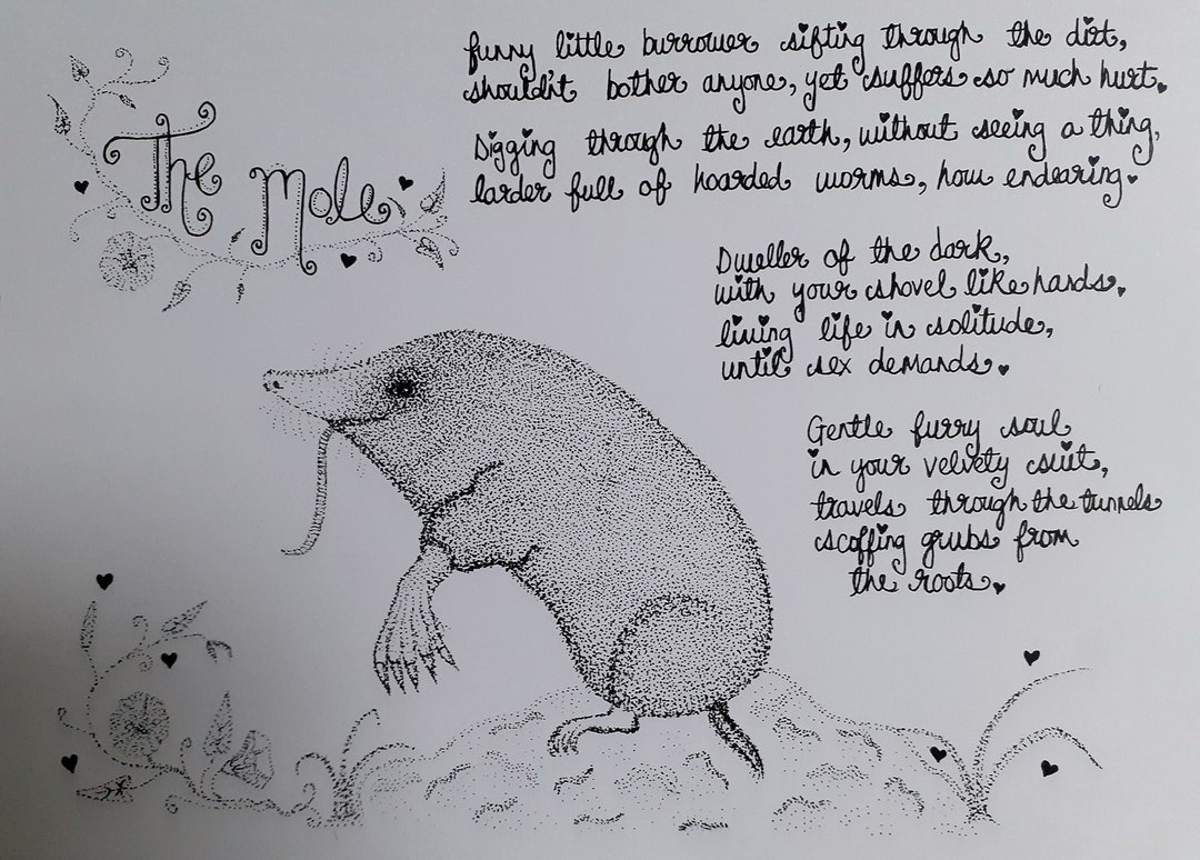 The Mole Print. - Etsy