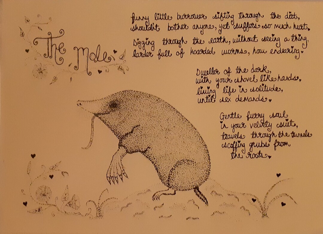 The Mole Card. - Etsy UK
