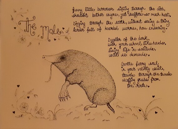 The Mole Card. | Etsy UK