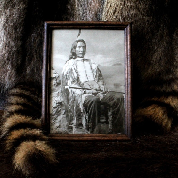 Chief Red Cloud - Etsy