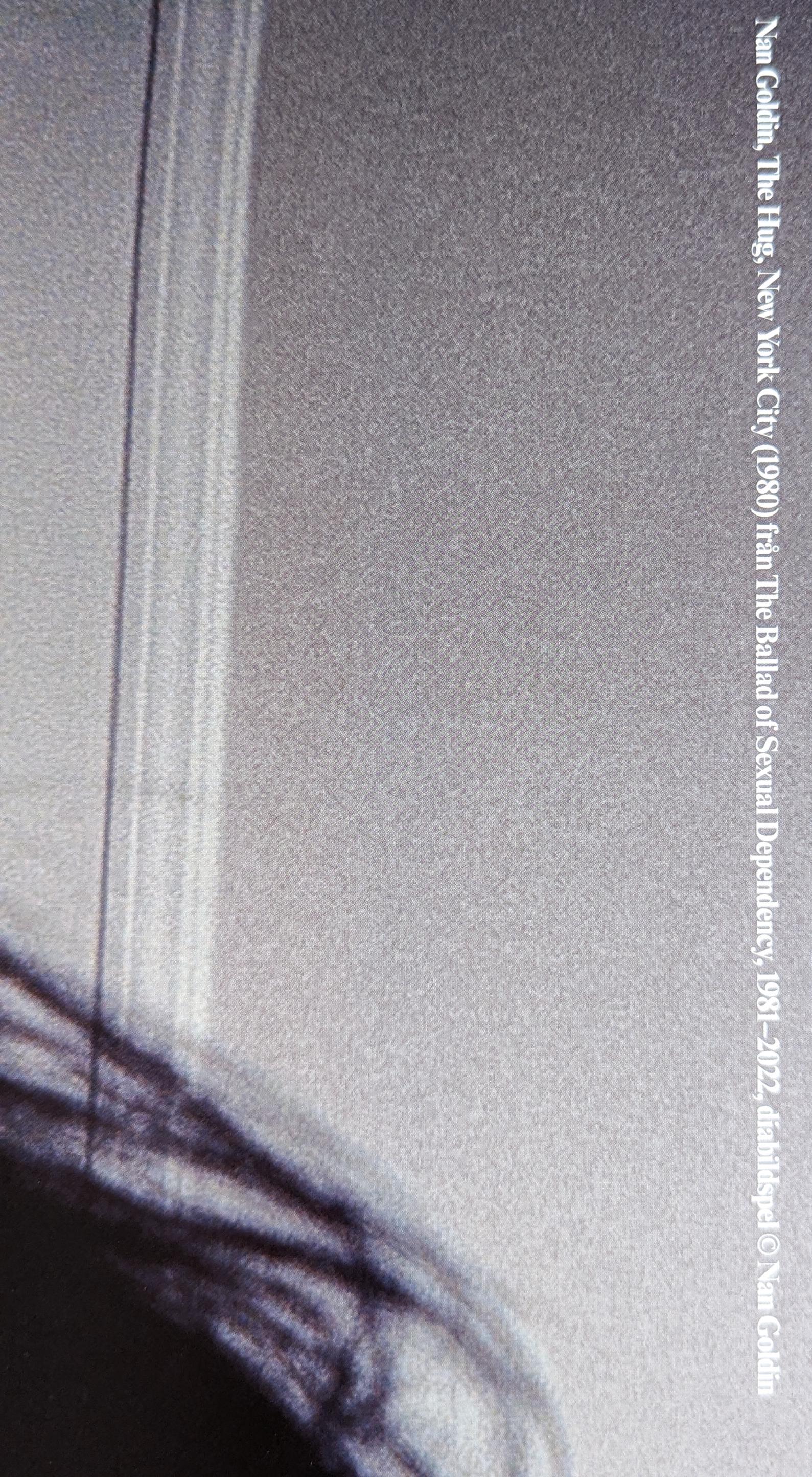 Nan Goldin Original Exhibition Poster the Hug 2022 - Etsy