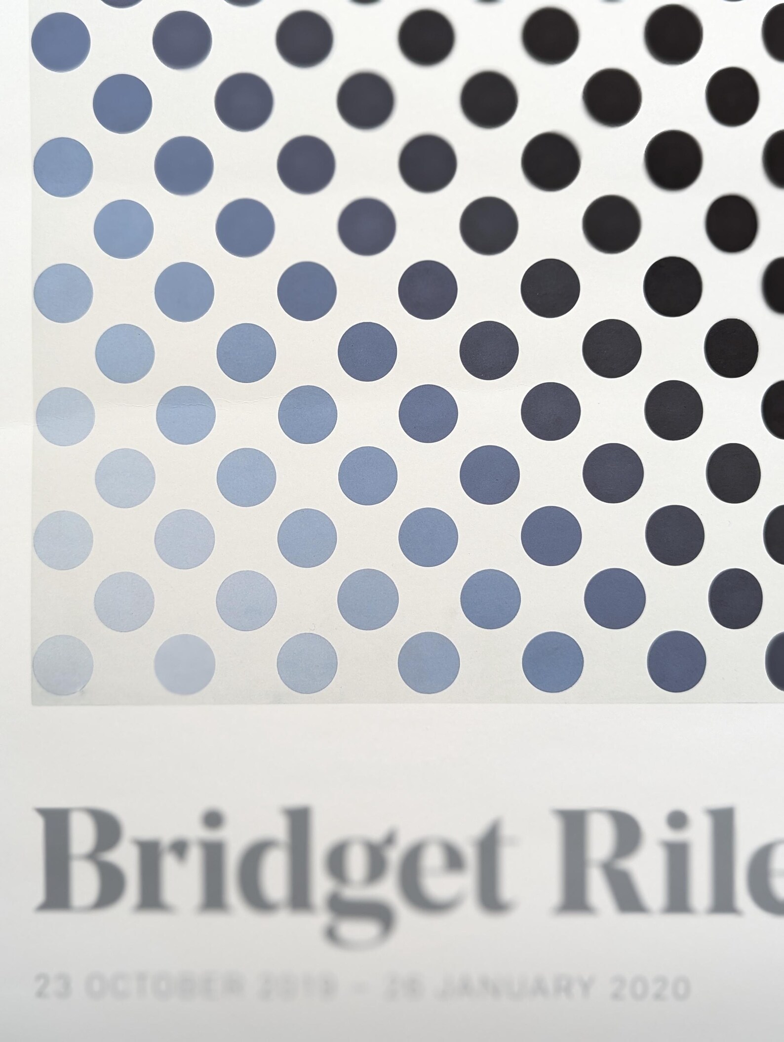 Bridget Riley Original Exhibition Poster Fine Art Wall Print Wall Art ...