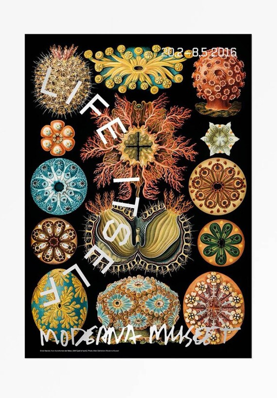 Ernst Haeckel Exhibition Poster Nature 2016 | Etsy