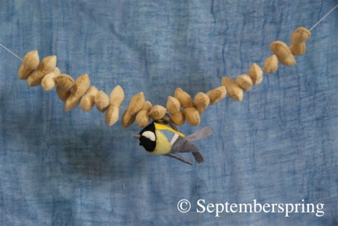 PDF Peanut Garland With Blue Tit and Apple - Etsy