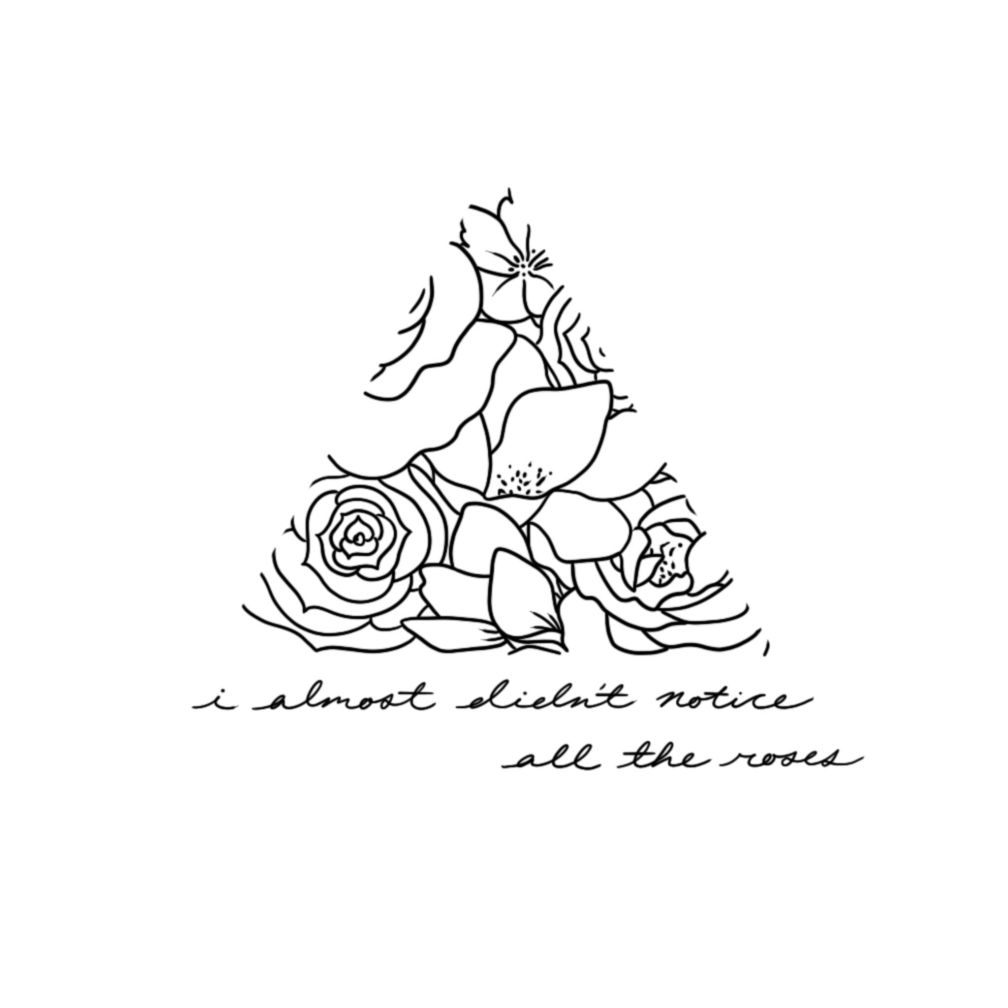 Taylor Swift Our Song Album Cover