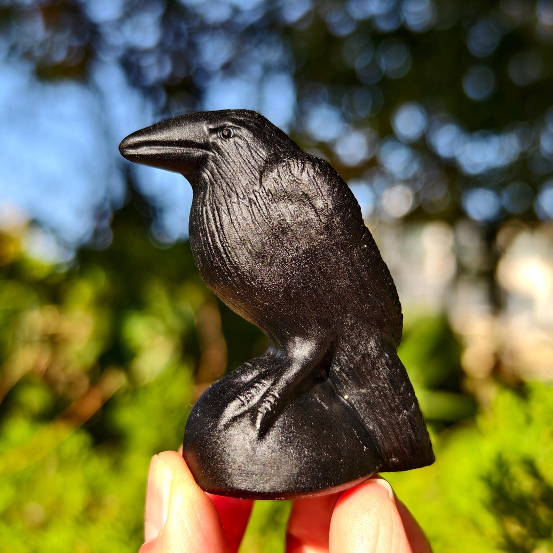 Natural Obsidian Carved Crow,crystal Crow Carving,obsidian Crow,crow ...