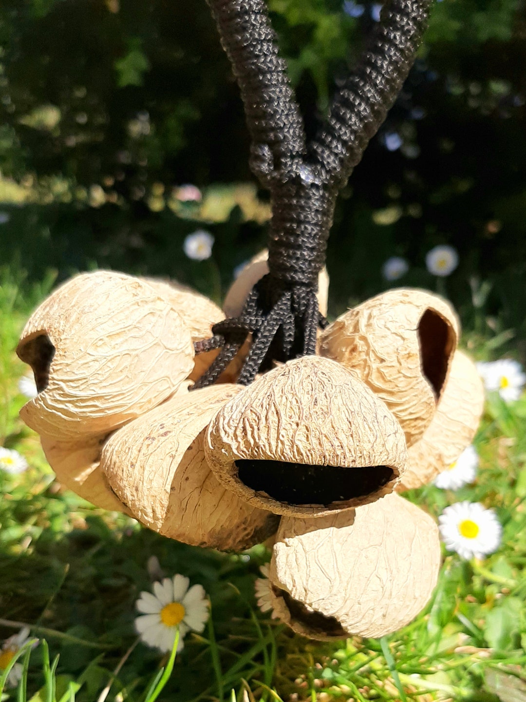 Maracas in Black Brown Pangi Seed Rattle - Etsy