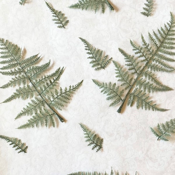 Fern Garland - Etsy